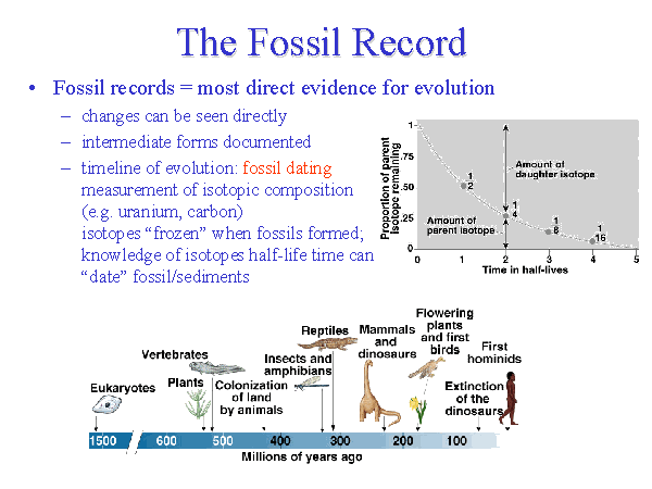 The Fossil Record